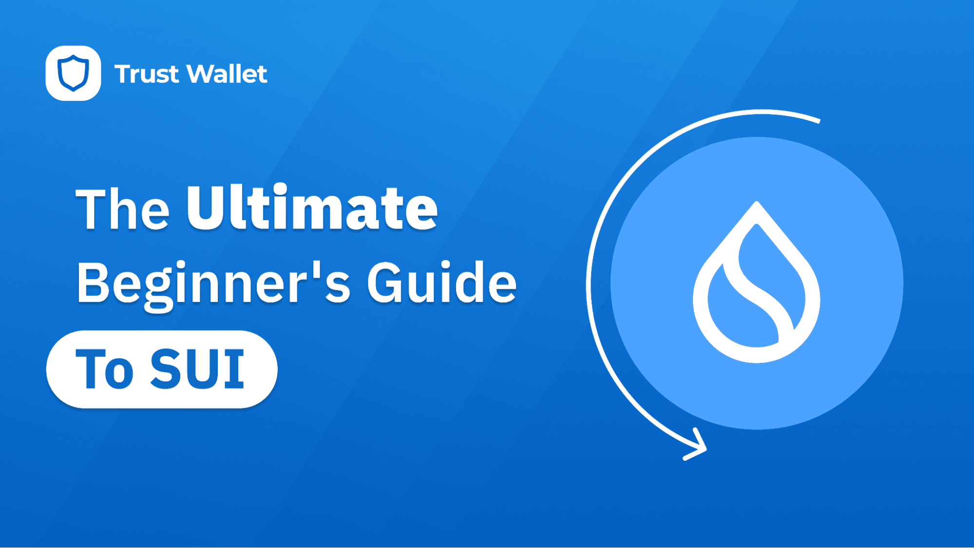 The Ultimate Beginner's Guide To SUI | Trust