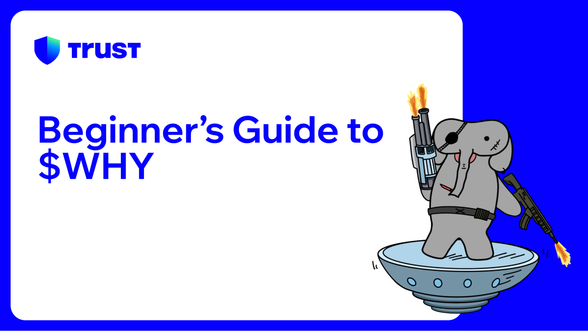 Beginner's Guide to $WHY | Trust