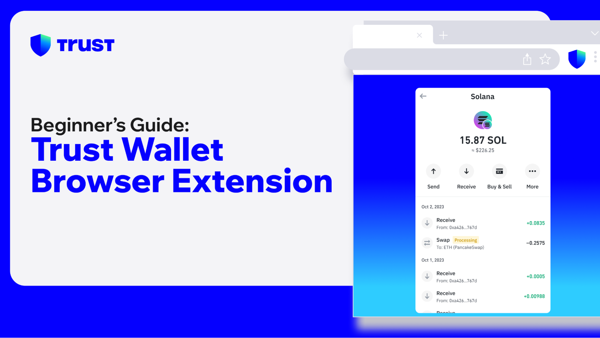 A Beginner's Guide to Trust Wallet Browser Extension | Trust