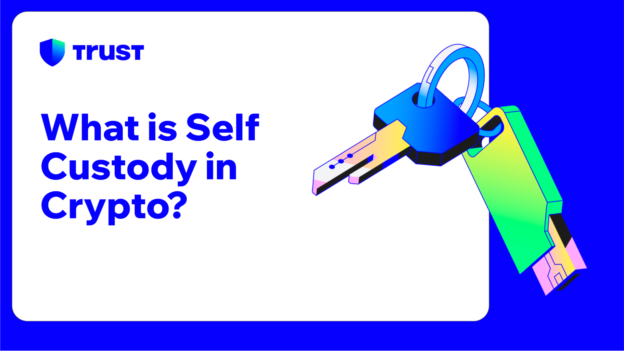 What is Self Custody in Crypto? | Trust